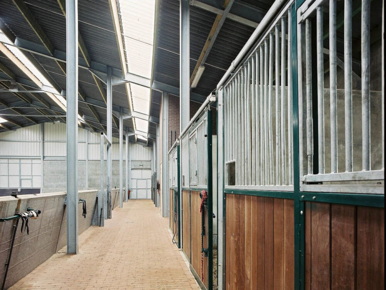 Paardenstallen en manegebouw - Constructions Louwet SA